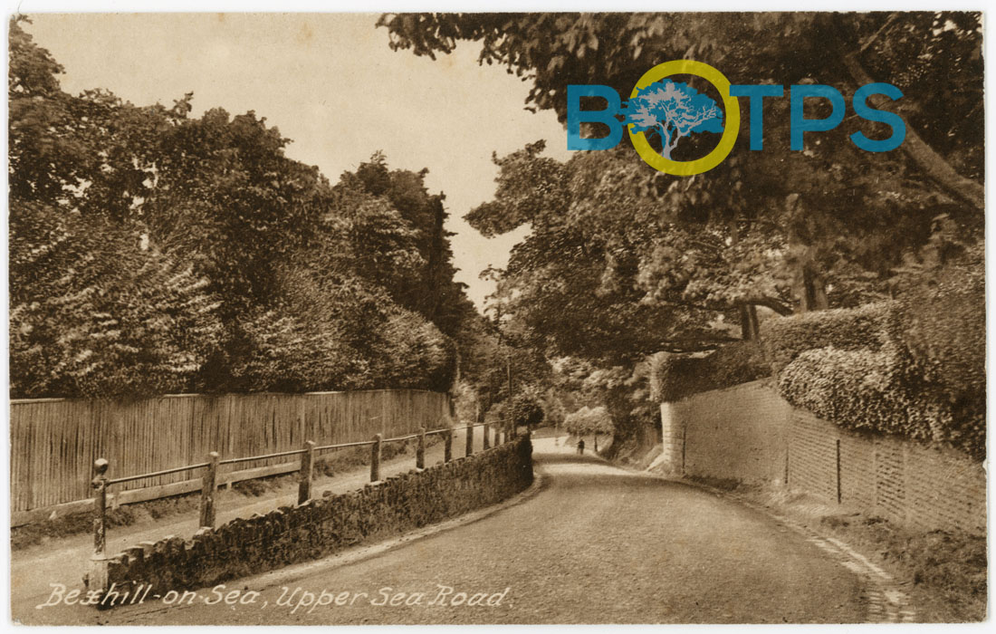 img170-small-watermark « The Old Town Preservation Society