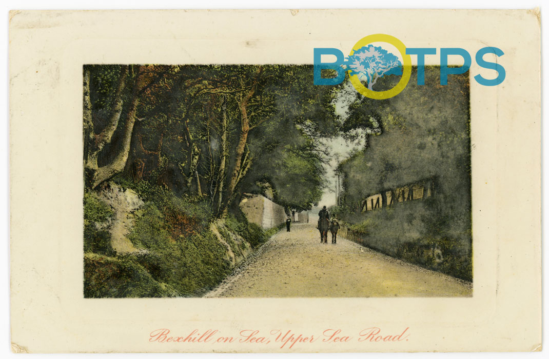 img174-small-watermark « The Old Town Preservation Society