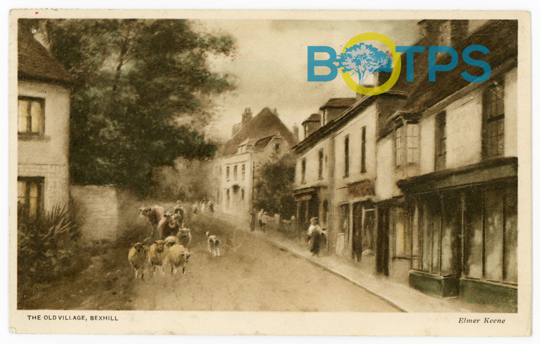 img204-small-watermark « The Old Town Preservation Society