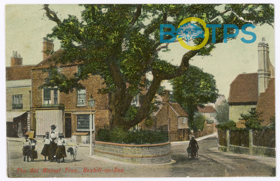 img259-small-watermark « The Old Town Preservation Society