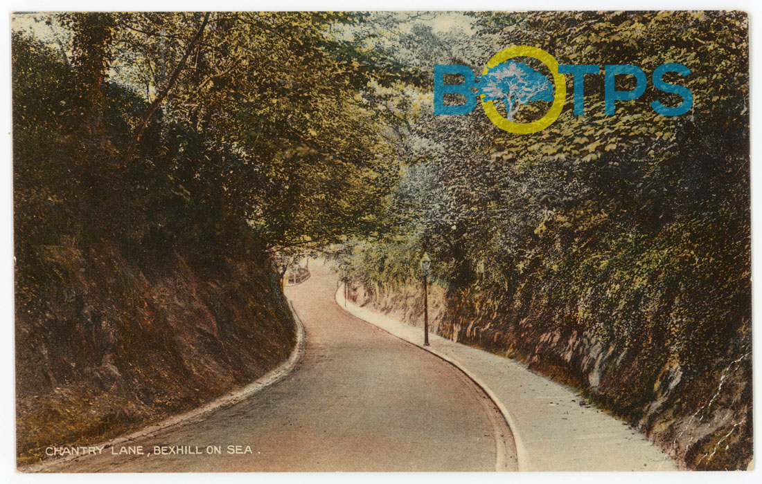 img266-small-watermark « The Old Town Preservation Society